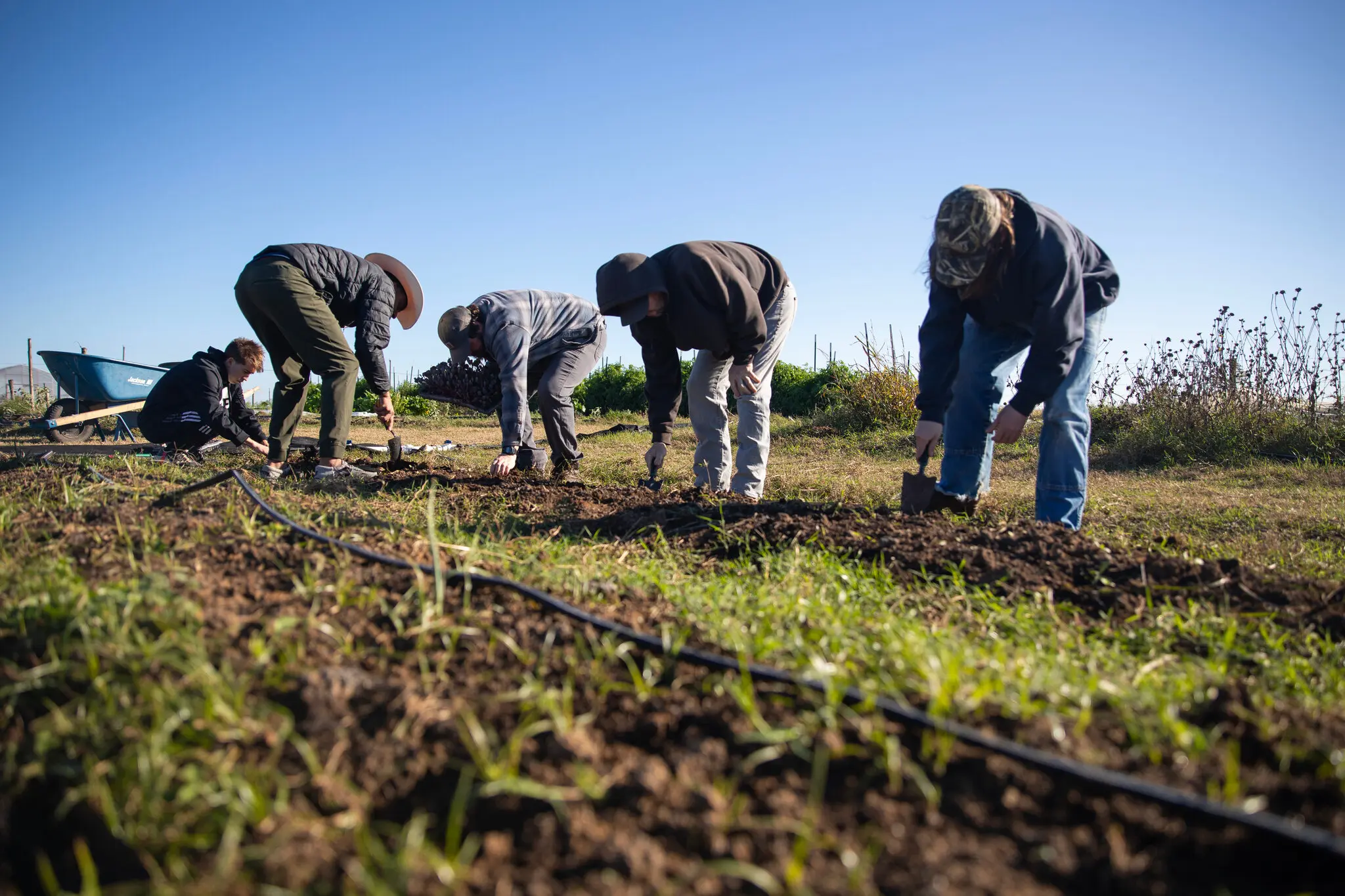 Could Wellness Farms Change the Face of Opioid Recovery? A Closer Look ...