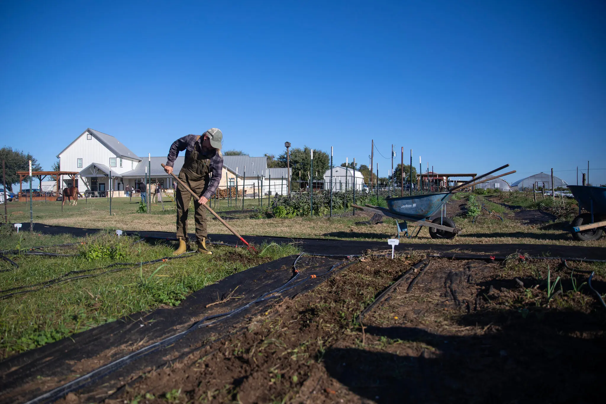 Ranch House Recovery in the National Spotlight: A Leader in Holistic ...