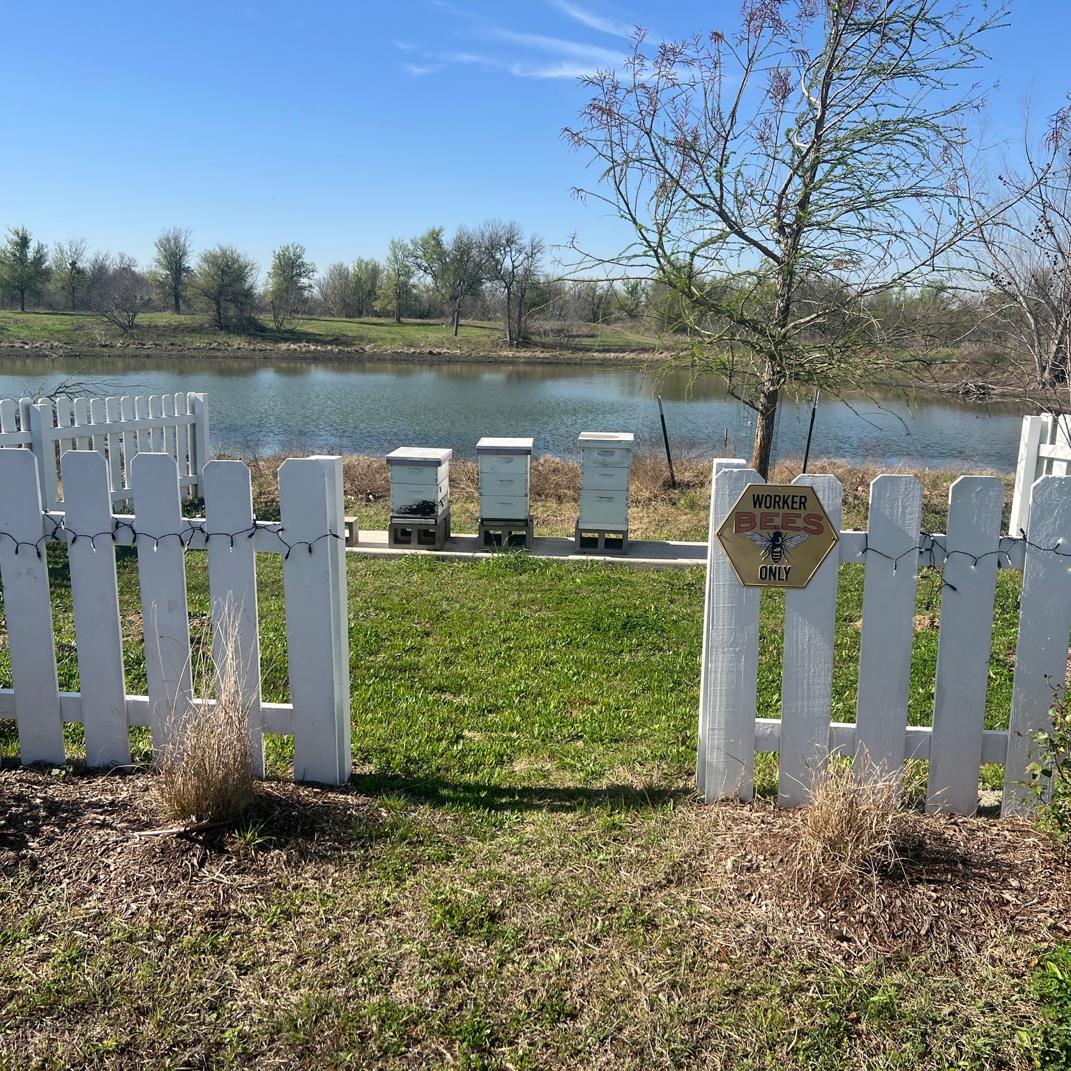 How Environment Impacts Addiction Recovery | Ranch House Recovery