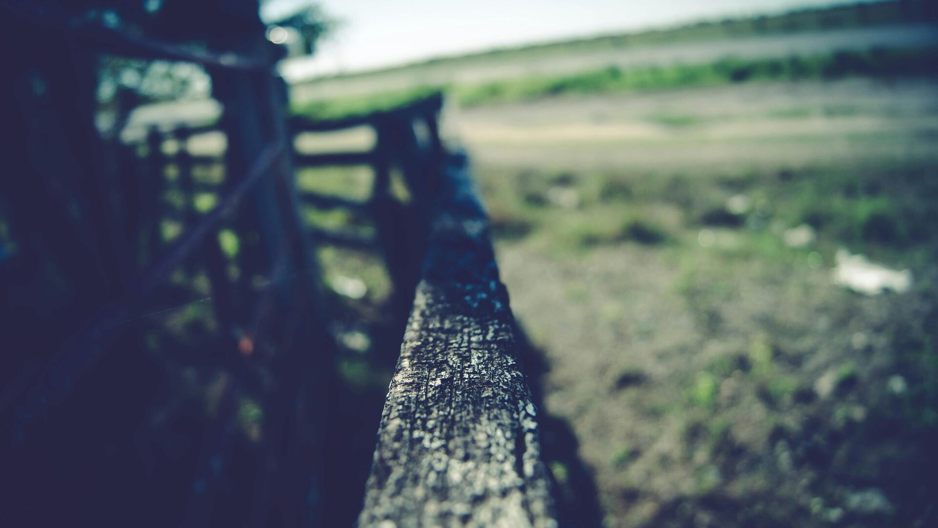 Why Holistic, Ranch-Based Rehab Works: The Healing Power of Nature ...